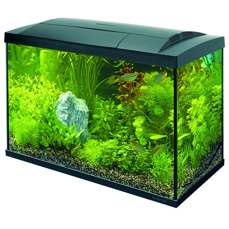 Superfish Aquarium Superfish Start 70 tropical kit A4050285